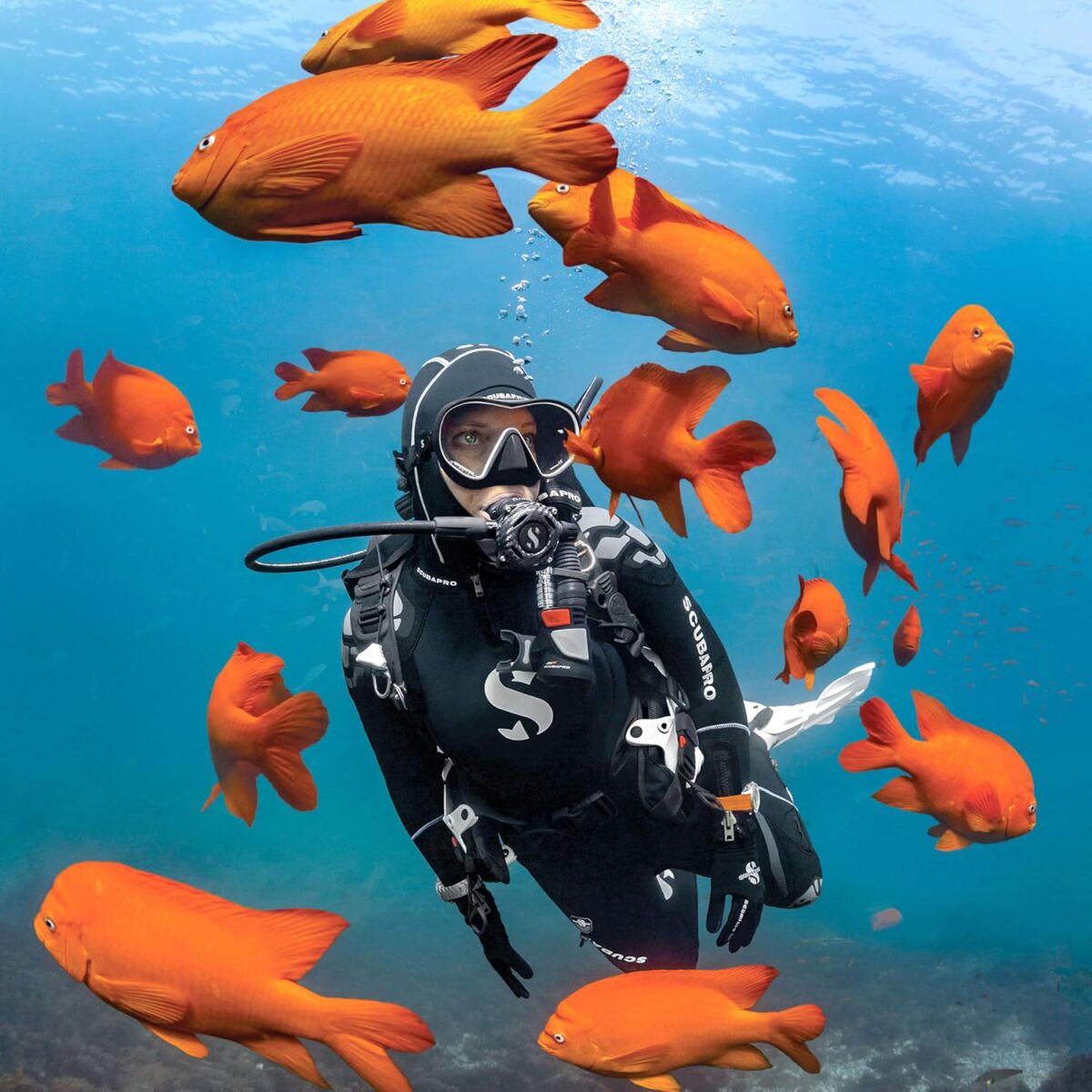 Scuba Insider - Dive Deeper Gear Smarter